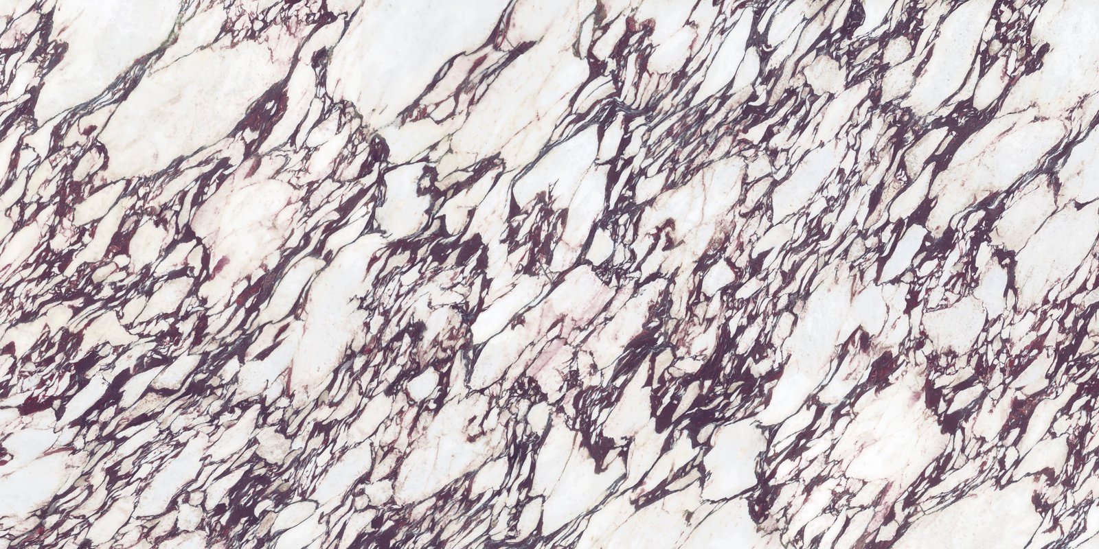 Infinity Calacatta Viola Porcelain Slabs - SNB Stone Australia